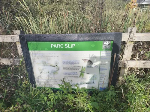 Best Hikes and Trails in Parc Slip Nature Reserve | AllTrails