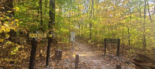 Best Hikes and Trails in Morgan Monroe State Forest | AllTrails