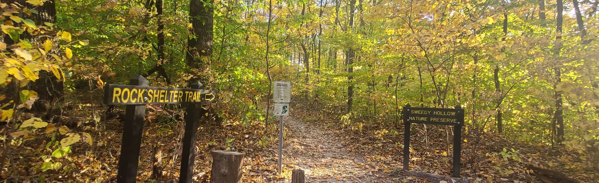 Mason Ridge and Rock Shelter Loop, Indiana - 204 Reviews, Map | AllTrails