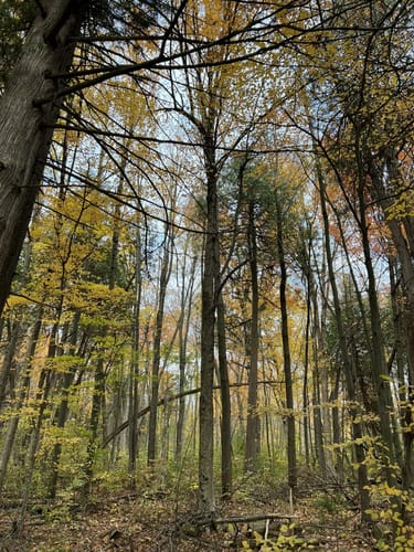 Best Hikes and Trails in Baxter Conservation Area | AllTrails