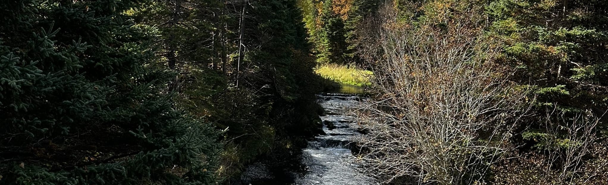 Bowring Park Loop, Newfoundland and Labrador, Canada - 591 Reviews, Map ...