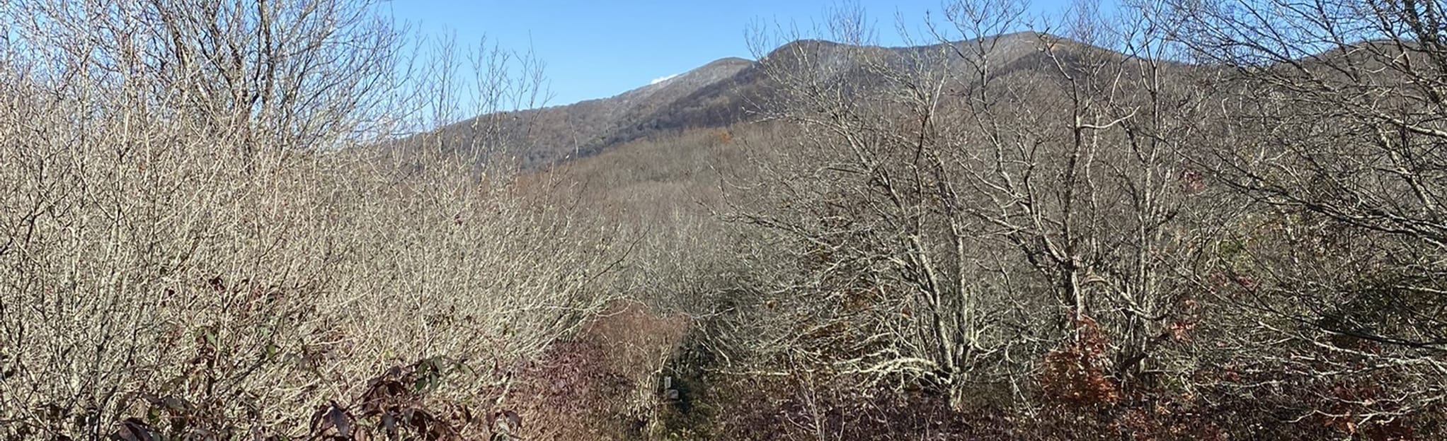 Anthony Creek, Russell Field, Appalachian, and Bote Mountain Loop ...