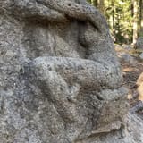 Lady of the Woods Trail, Oregon - 140 Reviews, Map | AllTrails