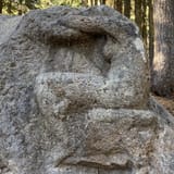 Lady of the Woods Trail, Oregon - 140 Reviews, Map | AllTrails