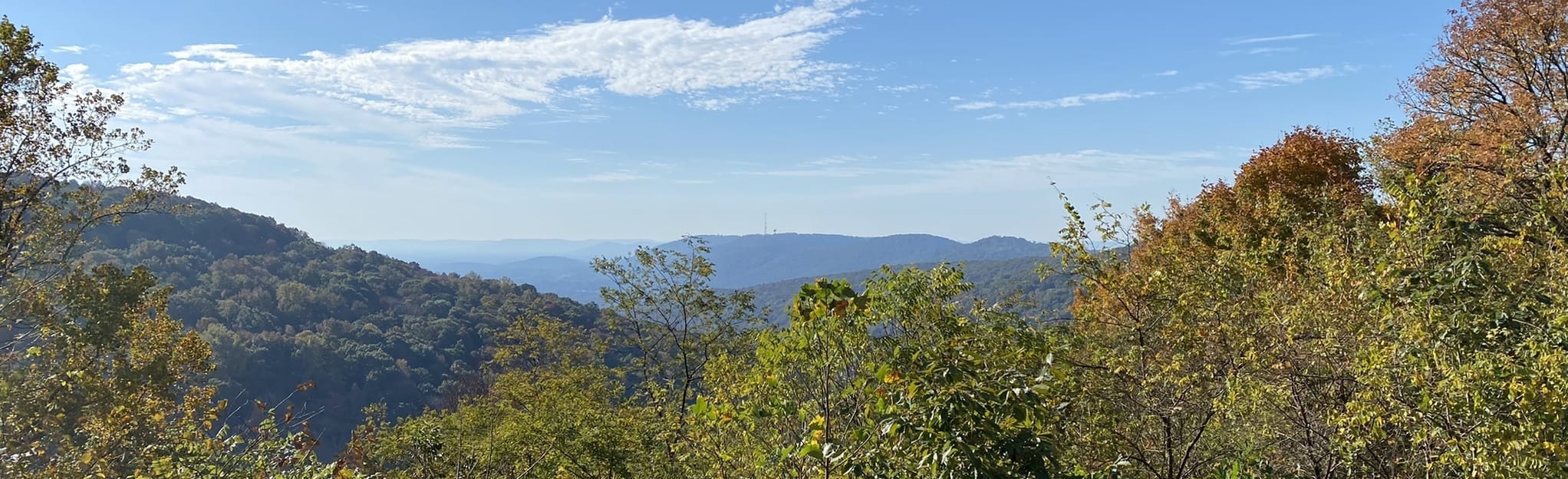 Arrowhead to Natural Well Loop: 120 Reviews, Map - Alabama | AllTrails