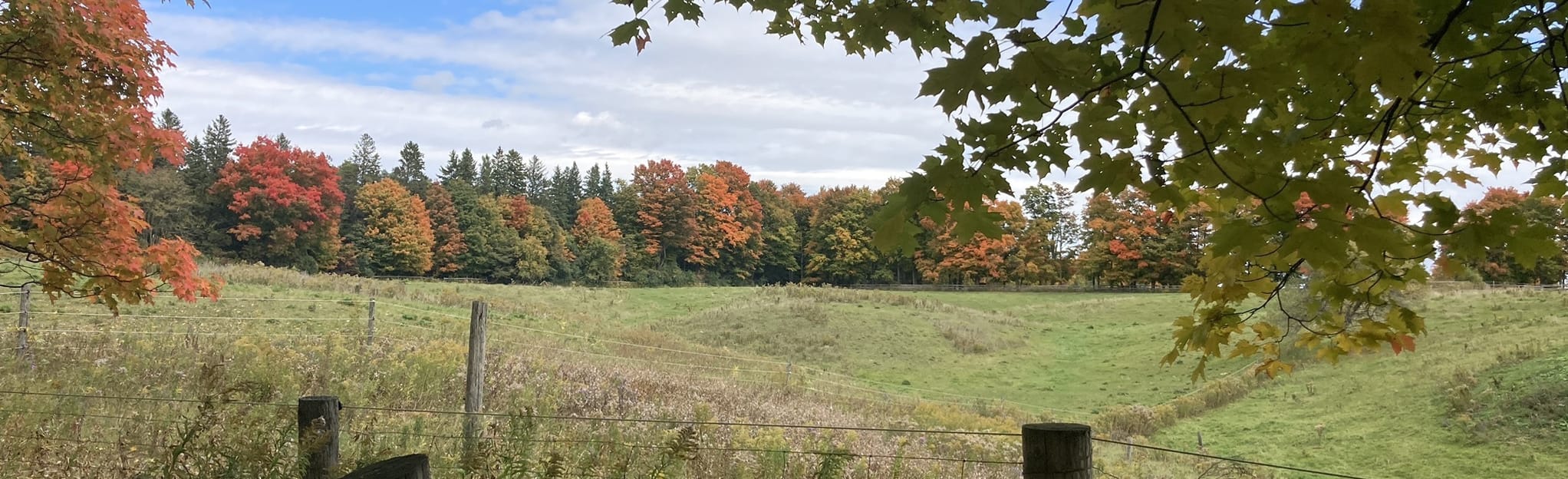 Oak Ridges Side Trail via Rouge National Urban Park, 283 Fotos ...