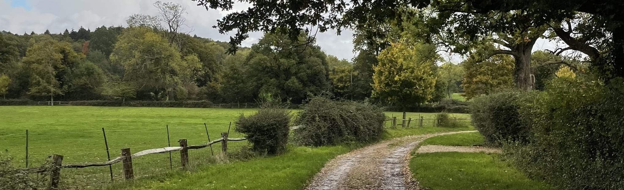 Winterfold and Hurt Wood Circular, Surrey, England - 346 Reviews, Map ...