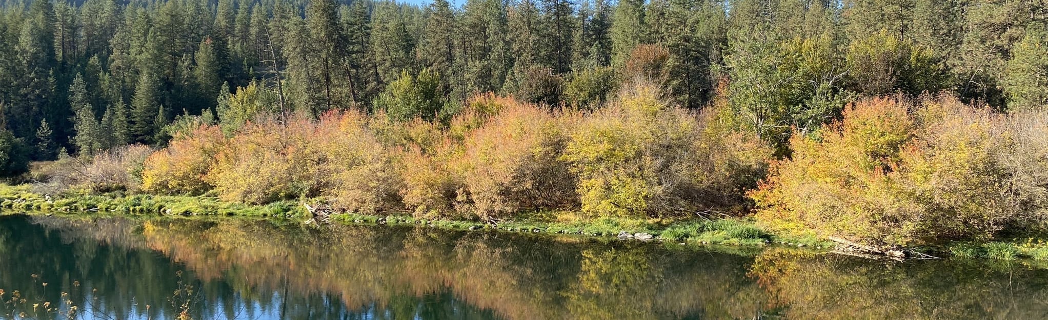 Spokane Riverside Trail: 17 Reviews, Map - Washington | AllTrails