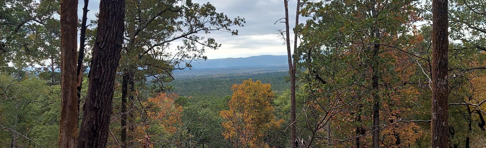 Womble Trail from Buddy's Landing, Arkansas - 17 Reviews, Map | AllTrails