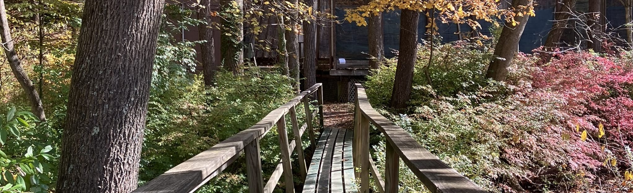 Spring Valley Extended Loop: 320 Reviews, Map - Ohio | AllTrails