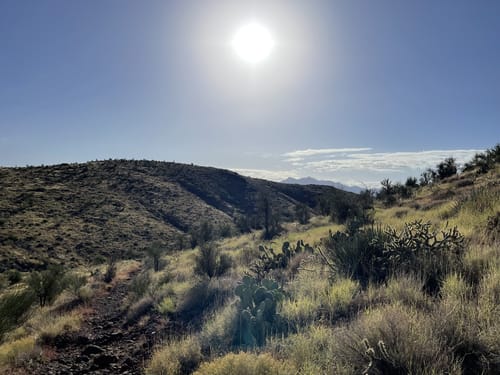 Best Hikes and Trails in Cerbat Foothills Recreation Area | AllTrails