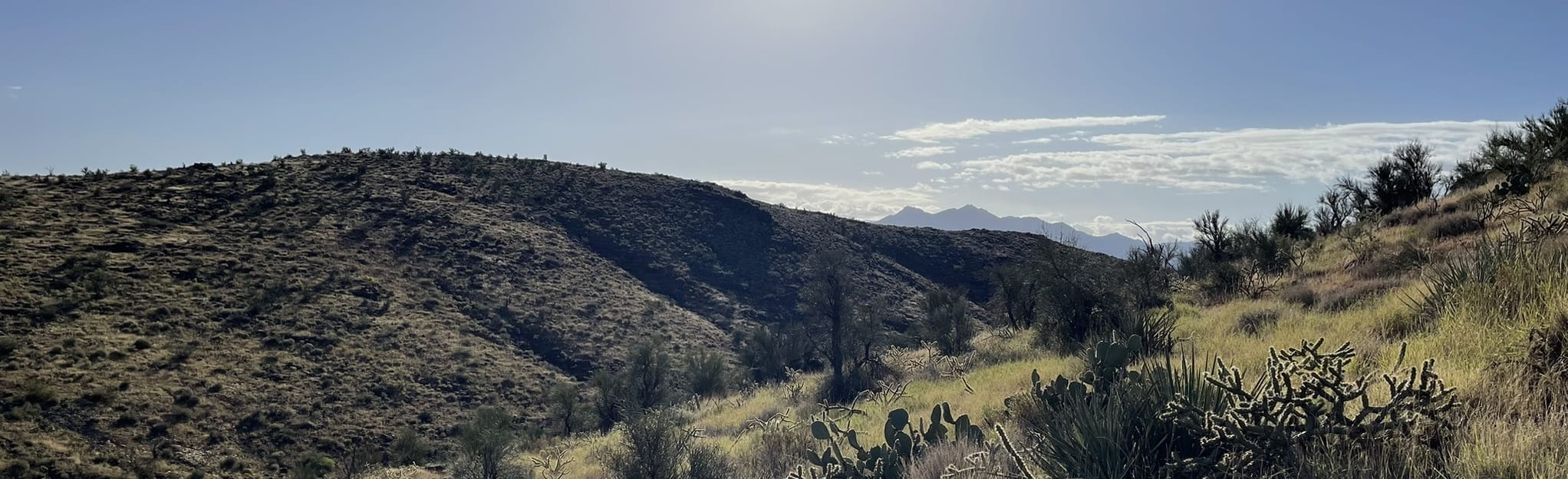 Castle Rock Trail via Camp Beale Trail, Arizona - 26 Reviews, Map ...