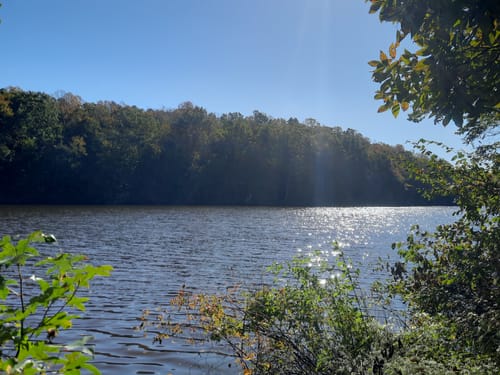 Best Hikes and Trails in Gilbert Run Park | AllTrails