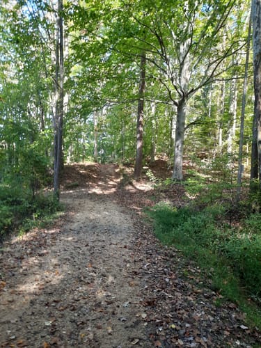 Best Hikes and Trails in Gilbert Run Park | AllTrails