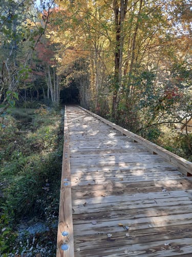 Best Hikes and Trails in Gilbert Run Park | AllTrails