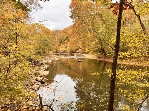 2023 Best trails in Hemlock Overlook Regional Park | AllTrails