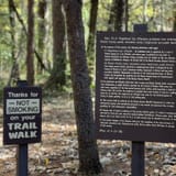 Eagle Point Trail, North Carolina - 219 Reviews, Map | AllTrails