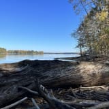 Eagle Point Trail, North Carolina - 223 Reviews, Map | AllTrails