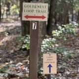 Eagle Point Trail, North Carolina - 223 Reviews, Map | AllTrails