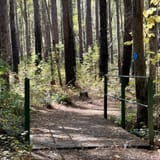 Eagle Point Trail, North Carolina - 223 Reviews, Map | AllTrails