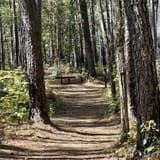 Eagle Point Trail, North Carolina - 223 Reviews, Map | AllTrails