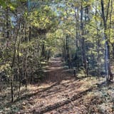 Eagle Point Trail, North Carolina - 223 Reviews, Map | AllTrails