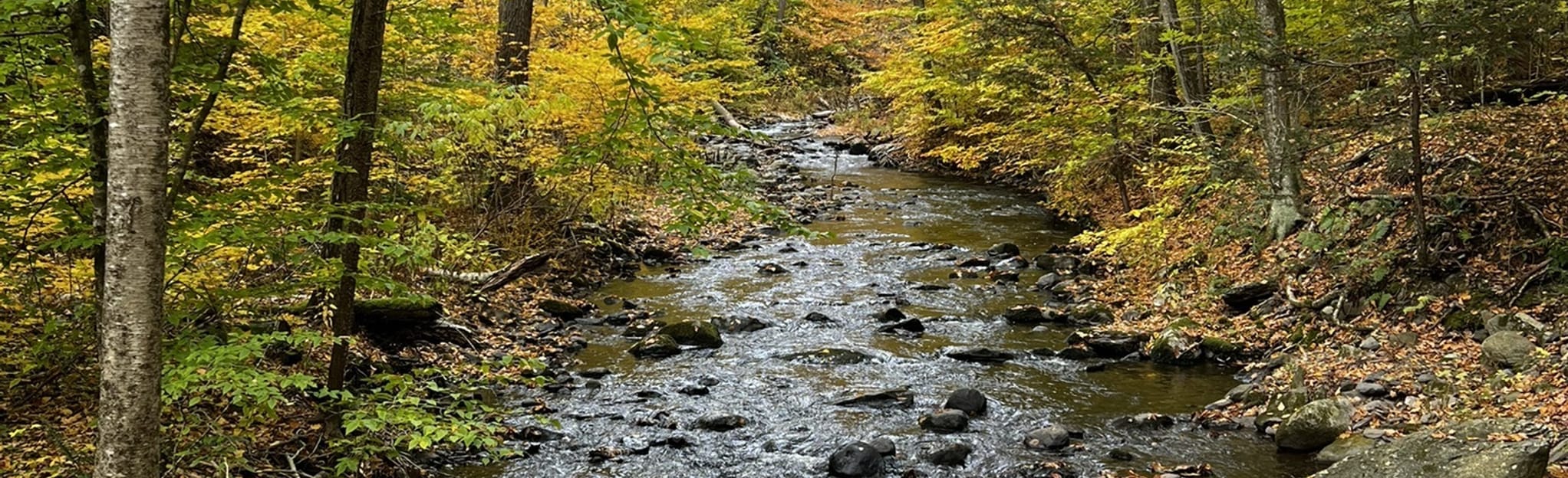 Hornbecks Creek (Indian Ladders) Trail: 1.660 foto's - Pennsylvania ...