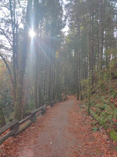 Best Hikes and Trails in Latoria Creek Park | AllTrails