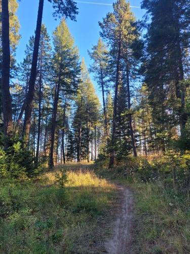 Best 10 Hikes and Trails in Colville National Forest | AllTrails