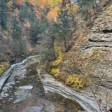 Gorge Trail Loop, New York - 411 Reviews, Map | AllTrails