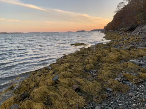 Best Hikes and Trails in Calderwood Preserve | AllTrails