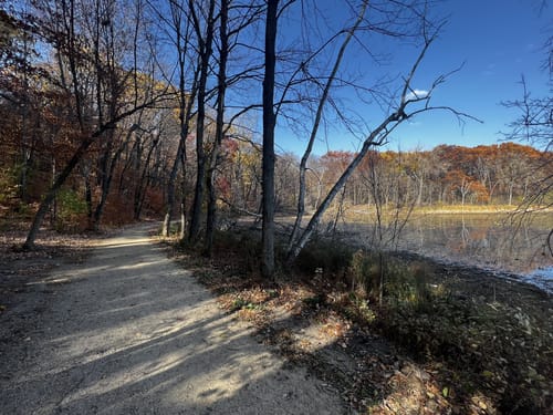 Best Hikes and Trails in Lone Lake Park | AllTrails