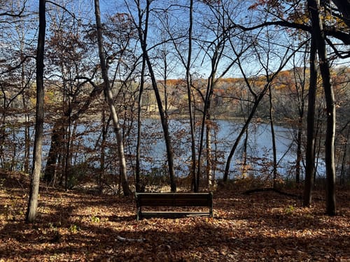 Best Hikes and Trails in Lone Lake Park | AllTrails
