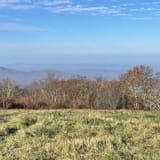 Whigg Meadow via Mud Gap Trail, North Carolina - 125 Reviews, Map ...