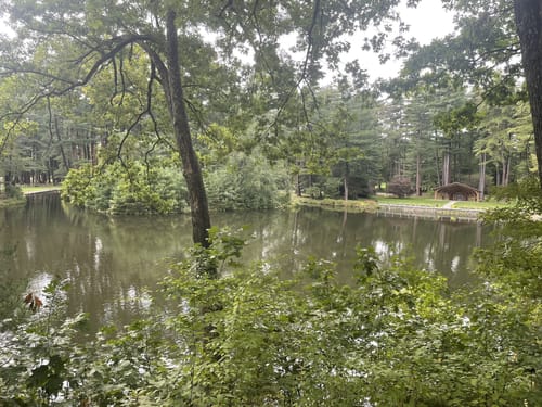 Best Hikes and Trails in Look Memorial Park | AllTrails