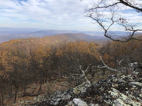 Best Hikes and Trails in Big Cove Tannery | AllTrails