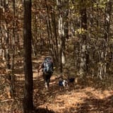 Shawnee State Park North Loop, Ohio - 199 Reviews, Map | AllTrails