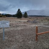 Tahoe Keyes Loop, California - 338 Reviews, Map | AllTrails