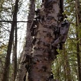 Little Traverse Lake, Michigan - 49 Reviews, Map | AllTrails