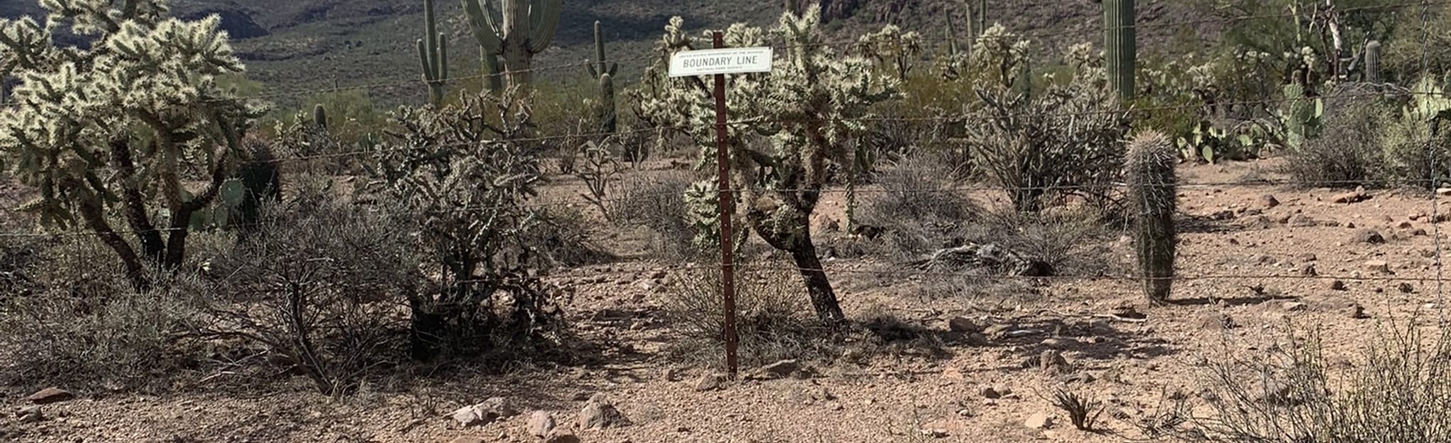 Packrat and Passey Loop Trail - Arizona | AllTrails