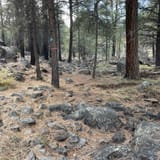 Keyhole Sink Trail, Arizona - 362 Reviews, Map | AllTrails