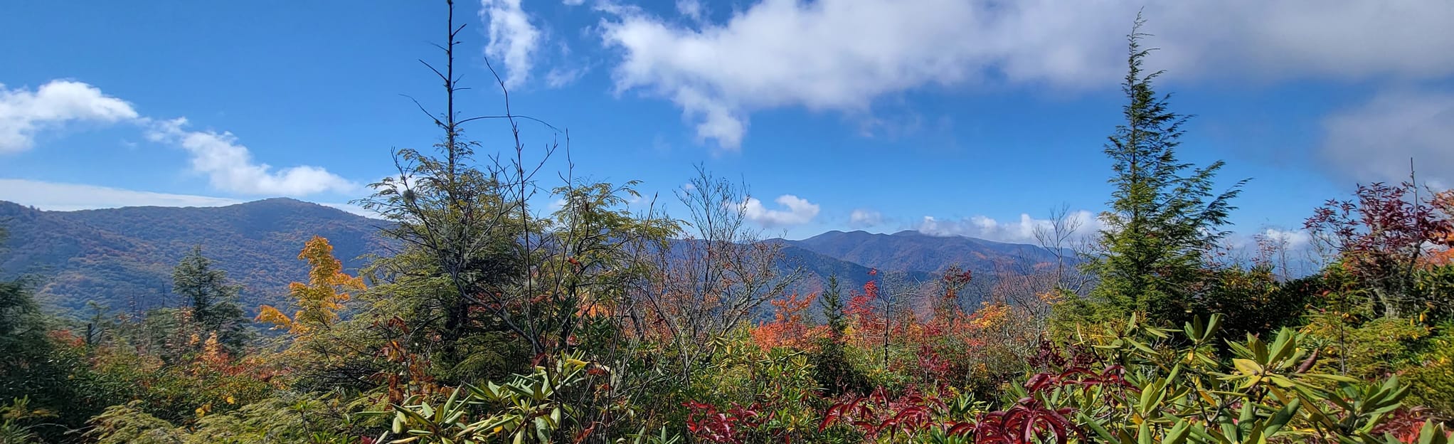 Middle Prong, Panther Creek, and Miry Ridge Trail to Cold Spring Knob ...