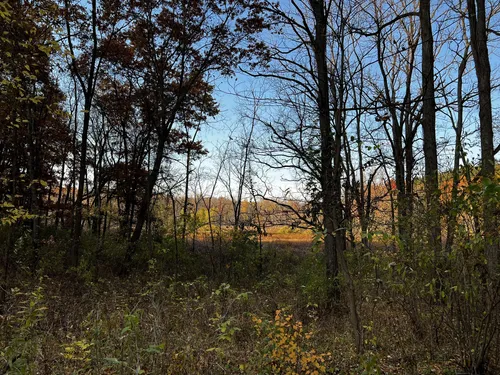 Best Hikes and Trails in Oak Grove State Game Area | AllTrails