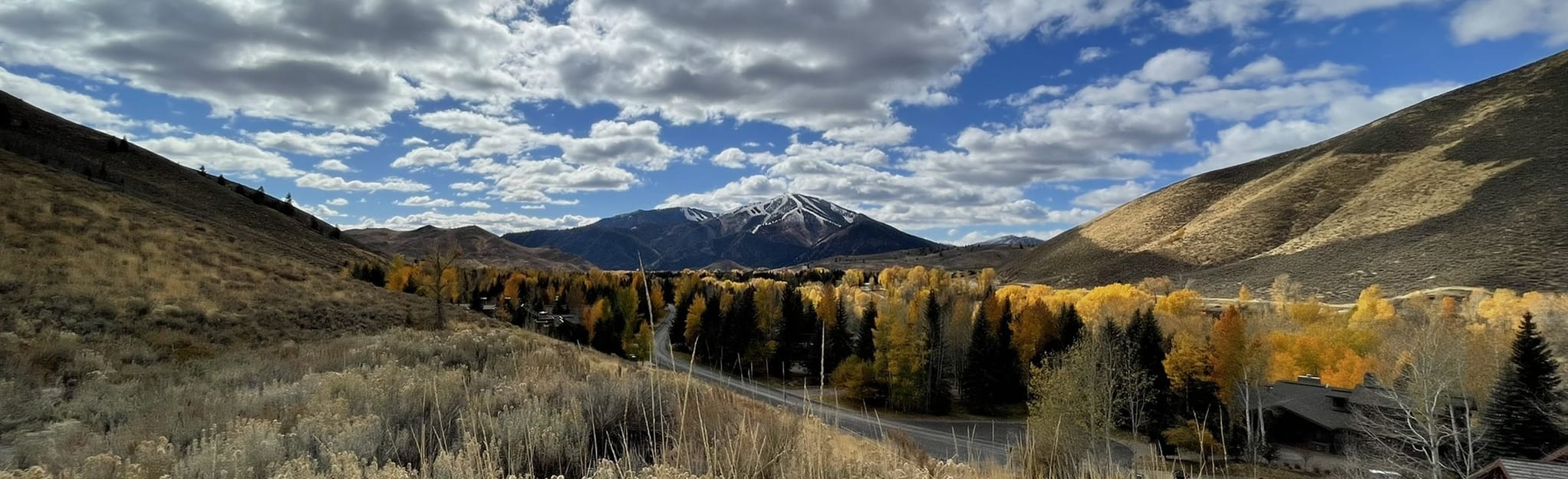 Proctor Mountain Trail, Idaho - 1,221 Reviews, Map | AllTrails