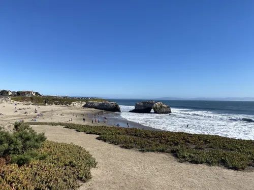 Best Hikes and Trails in Natural Bridges State Beach | AllTrails
