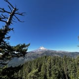 Badger Lake Trail, Oregon - 60 Reviews, Map | AllTrails