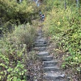 Mt. Airy Forest Outer Loop, Ohio - 128 Reviews, Map | AllTrails
