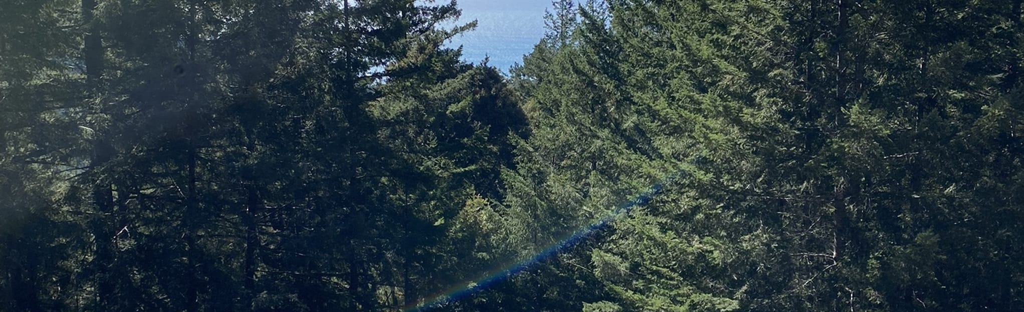 Paradise Royale Mountain Bike Trail Loop, California - 42 Reviews, Map ...