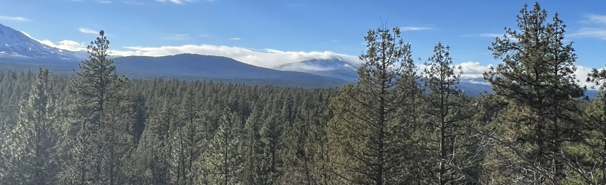 Eagle Rock Loop, Oregon - 411 Reviews, Map | AllTrails