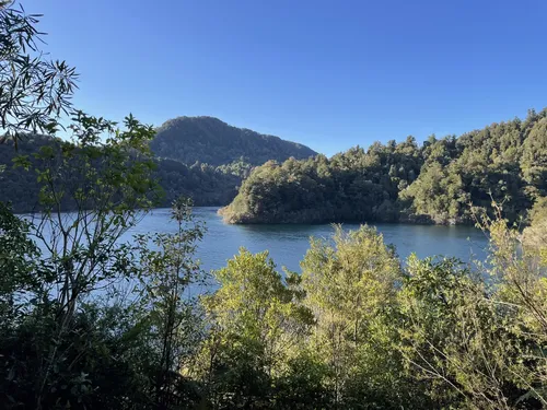 2023 Best Wild Flowers Trails in Raupunga | AllTrails